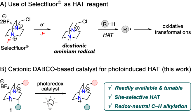 Pdf Cationic Dabco Based Catalyst For Site Selective C−h Alkylation