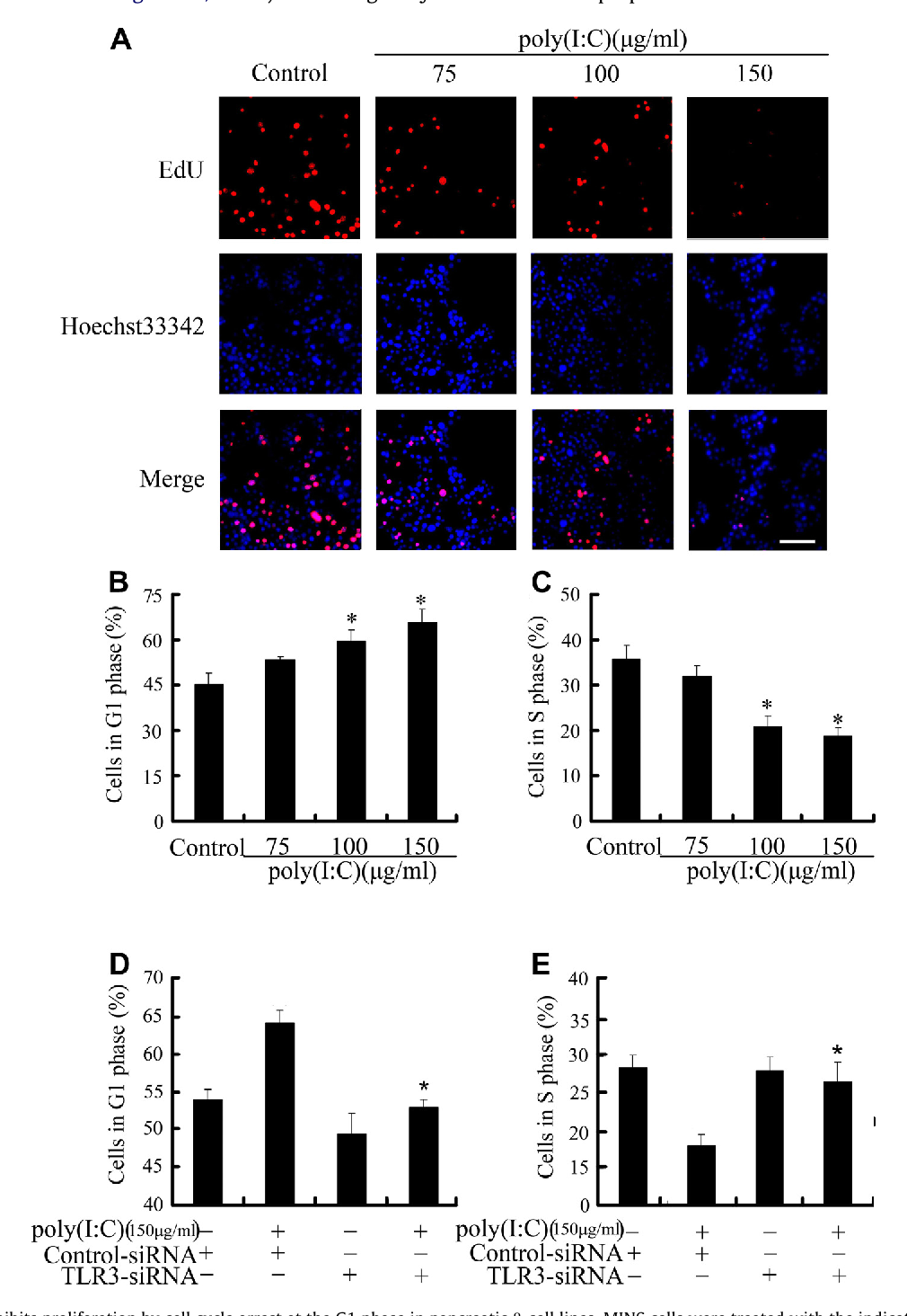 Elevated Toll Like Receptor 3 Inhibits Pancreatic β Cell Proliferation