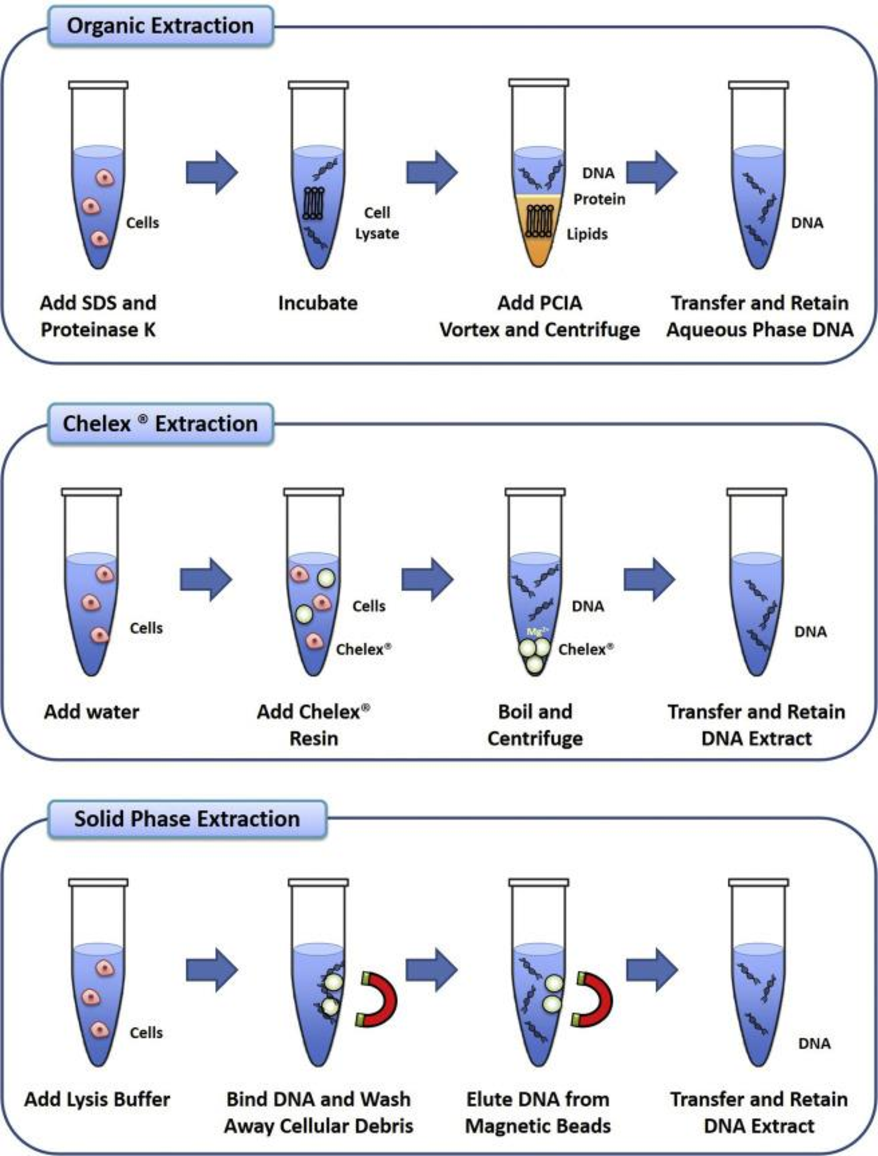 Figure 1 From Optimising Silica Based Solid Phase Dna Extraction