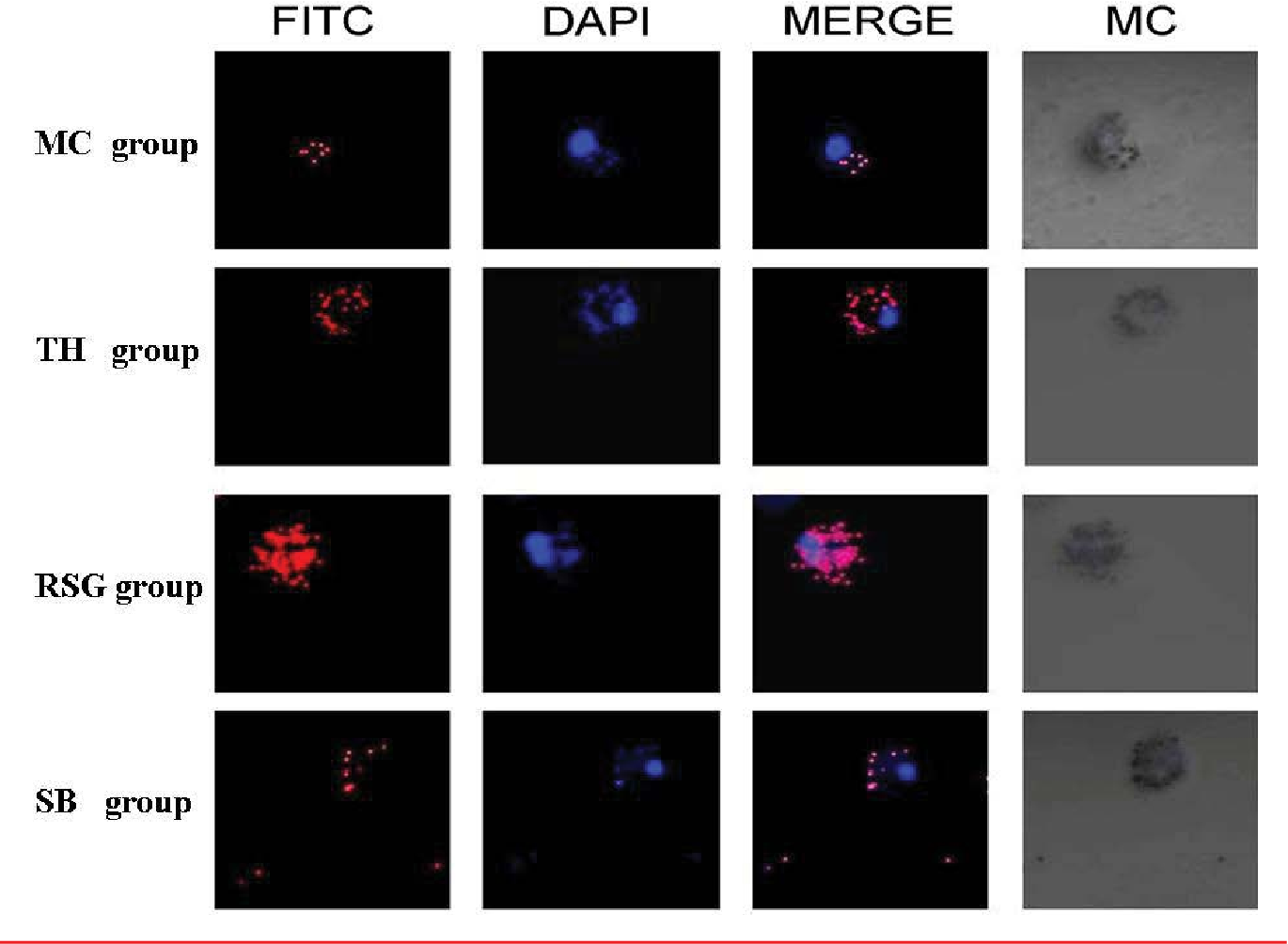 Table 1 From Rosiglitazone Enhances The Phagocytic Ability Of Thrombin