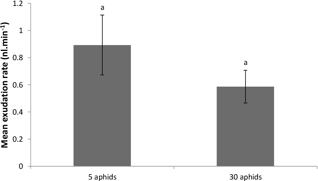 Figure 1 8 From Plant Aphid Interaction Local And Systemic Effects On