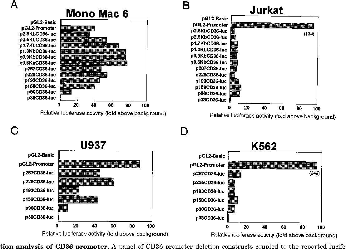 Figure 1 From Structural And Functional Characterization Of The Human