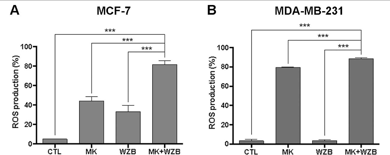 The Combination Of Mk 2206 And Wzb117 Exerts A Synergistic Cytotoxic