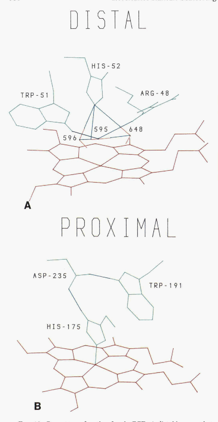 Figure 1 From Structural Characterization Of Cytochrome C Peroxidase By