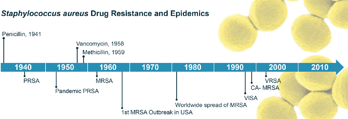 Pdf Vancomycin Resistance In Staphylococcus Aureus Semantic Scholar