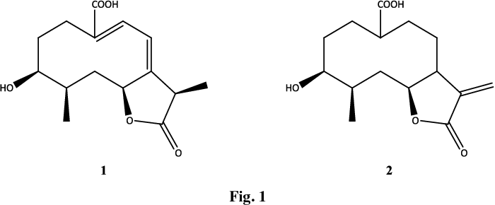 Figure 1 From In Silico Assessment Of The Druggability Of Two Novel