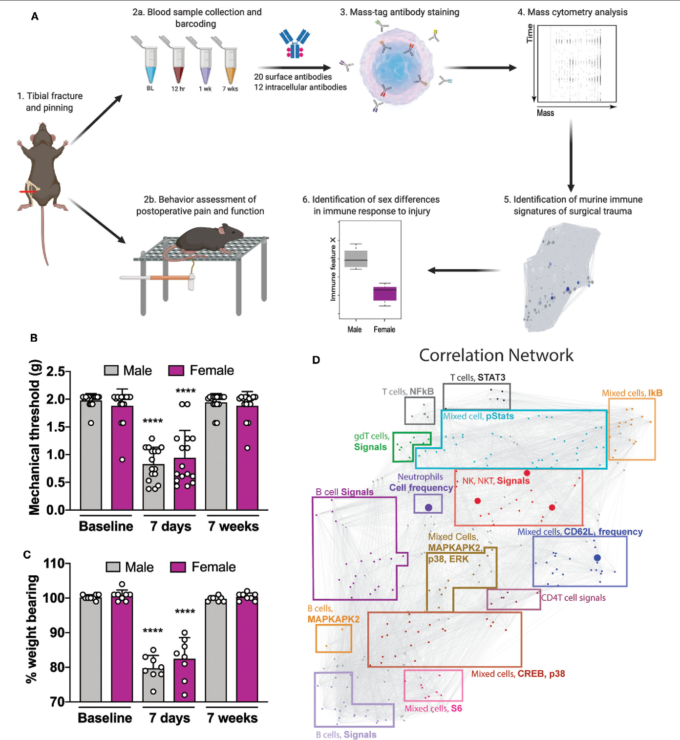 Figure 1 From Systematic Immunophenotyping Reveals Sex Specific