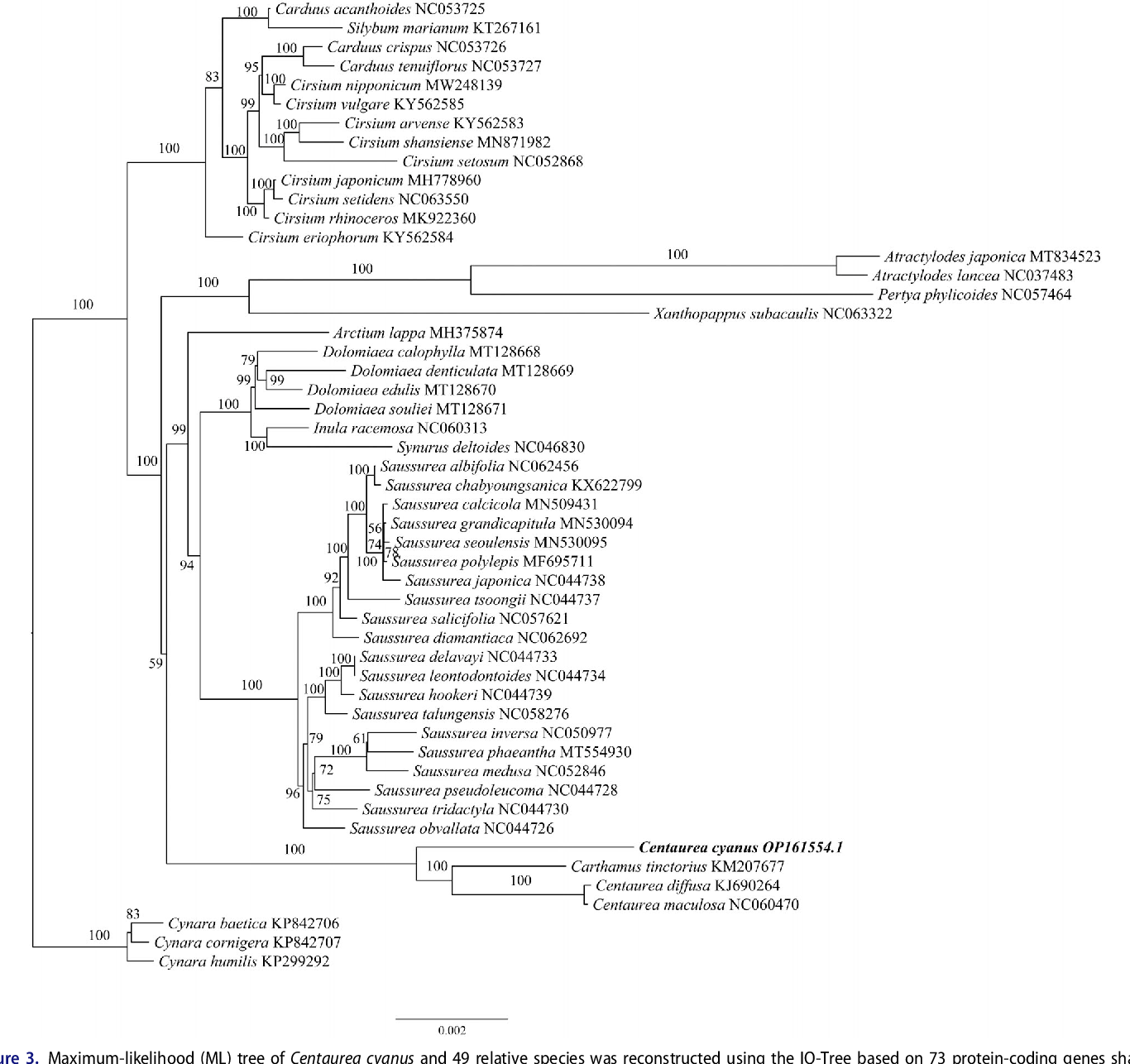 The Complete Chloroplast Genome Sequence Of Centaurea Cyanus