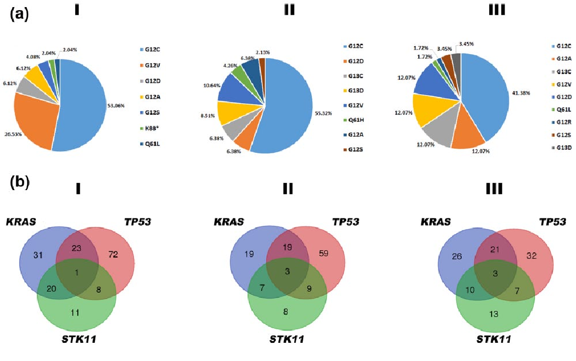 Treating Kras Mutant Nsclc Latest Evidence And Clinical Consequences