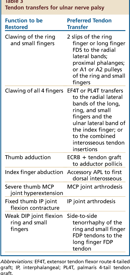 Table 2 From Tendon Transfers For Radial Median And Ulnar Nerve