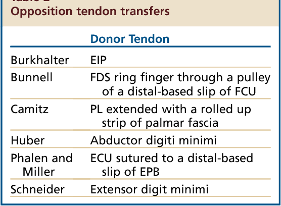 Table 2 From Tendon Transfers For Radial Median And Ulnar Nerve