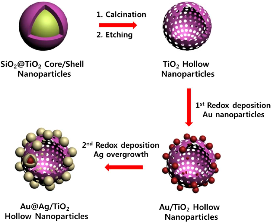 Ijms Free Fulltext The Effects Of Tio2 Nanoparticles