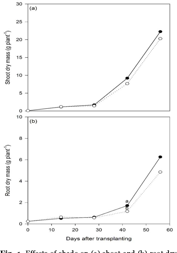 Table 1 From Growth And Morphological Responses Of Andrographis