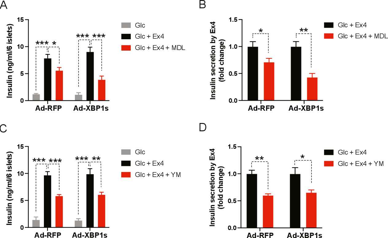 Figure 1 From Er Stress And Unfolded Protein Response Upr Signaling