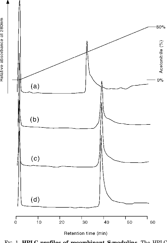 Figure 1 From The Role Of Calcium Binding Sites In S Modulin Function