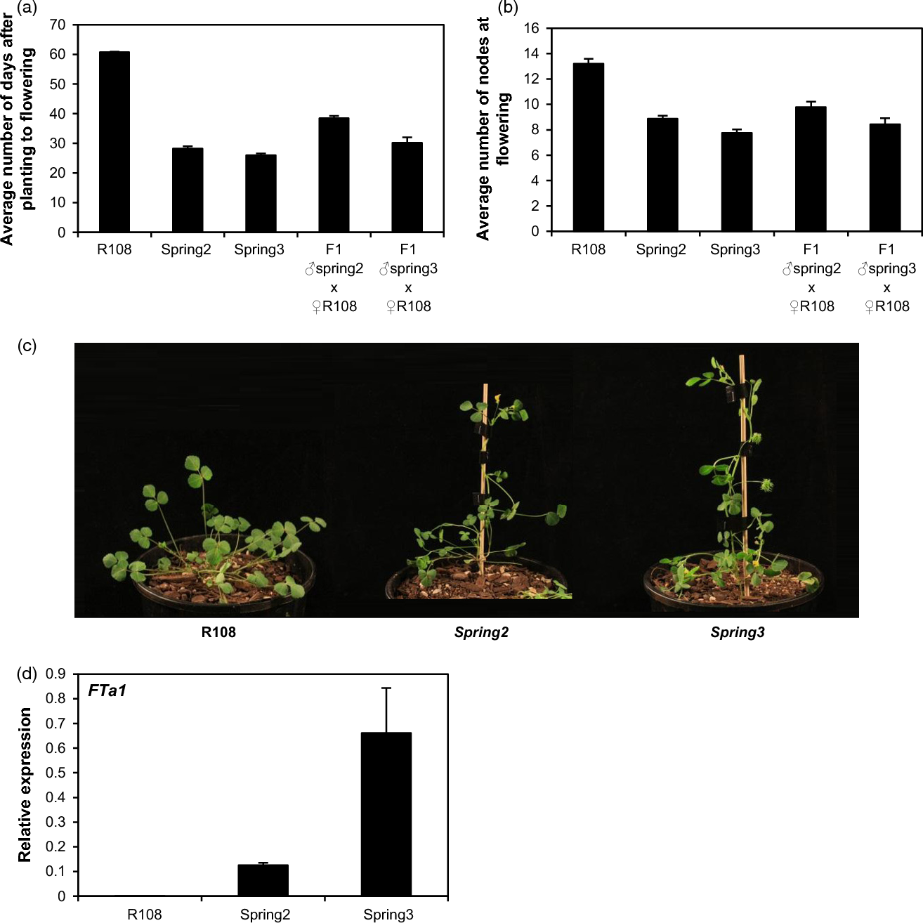 Figure 1 From Retroelement Insertions At The Medicago Fta1 Locus In