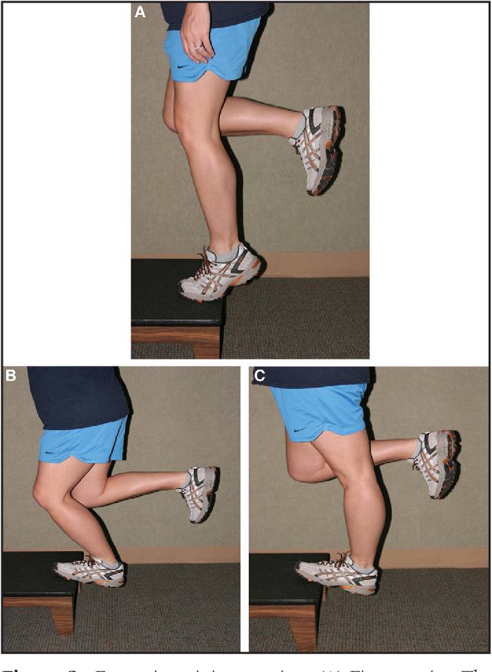 Figure 1 From The Effects Of Conventional Physical Therapy And