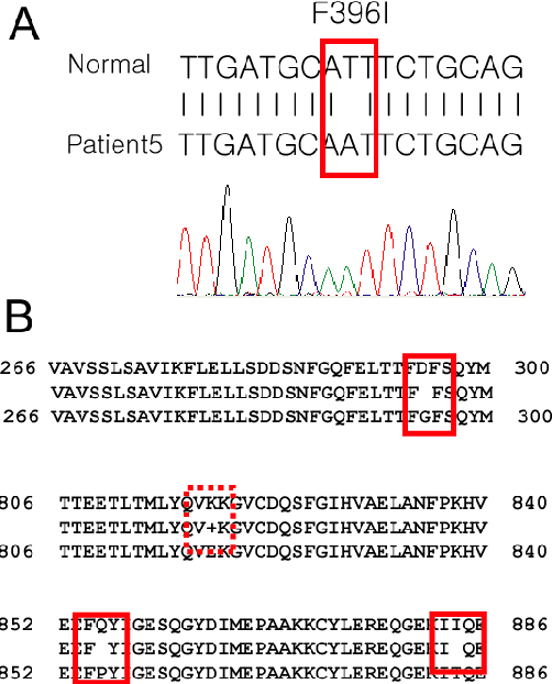 Pdf Three Novel Germline Mutations In Mlh1 And Msh2 In Families With