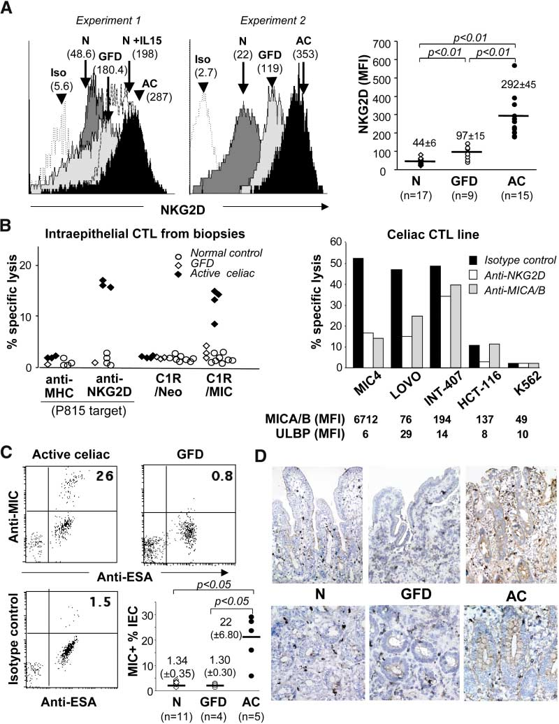 Lymphokine Activated Killer Cells Semantic Scholar