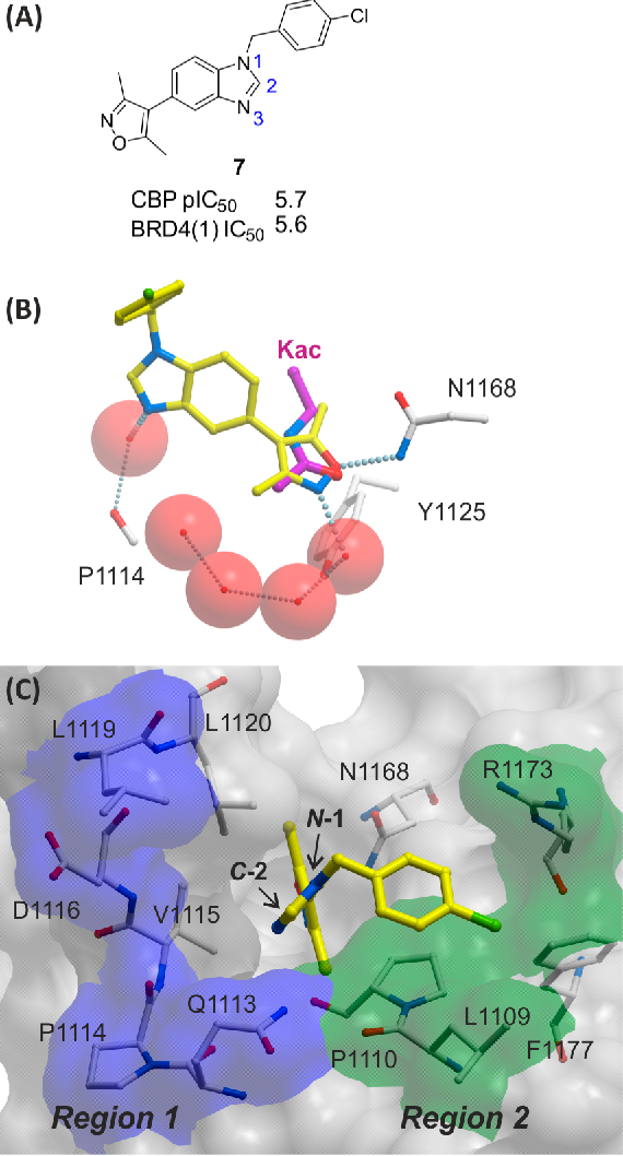 Figure 1 From Discovery And Optimization Of Small Molecule Ligands For