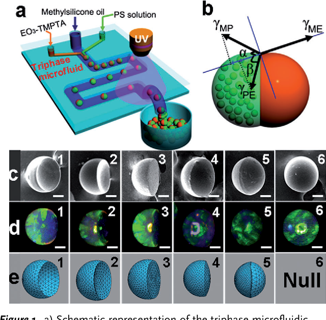 Figure 1 From Triphase Microfluidic Directed Self Assembly Anisotropic