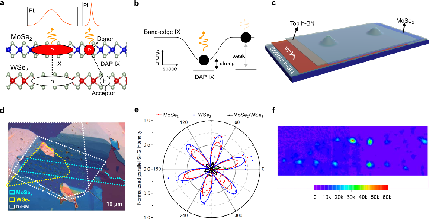 Pdf Interlayer Donor Acceptor Pair Excitons In Mose2wse2 Moire