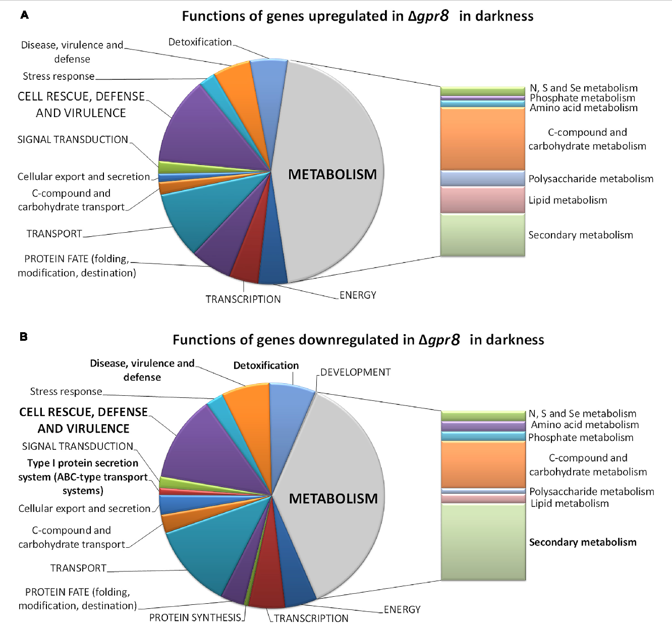 Figure 1 From The G Protein Coupled Receptor Gpr8 Regulates Secondary