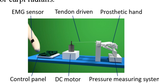 Design Of A Biomimetic Control System For Tendon Driven Prosthetic Hand