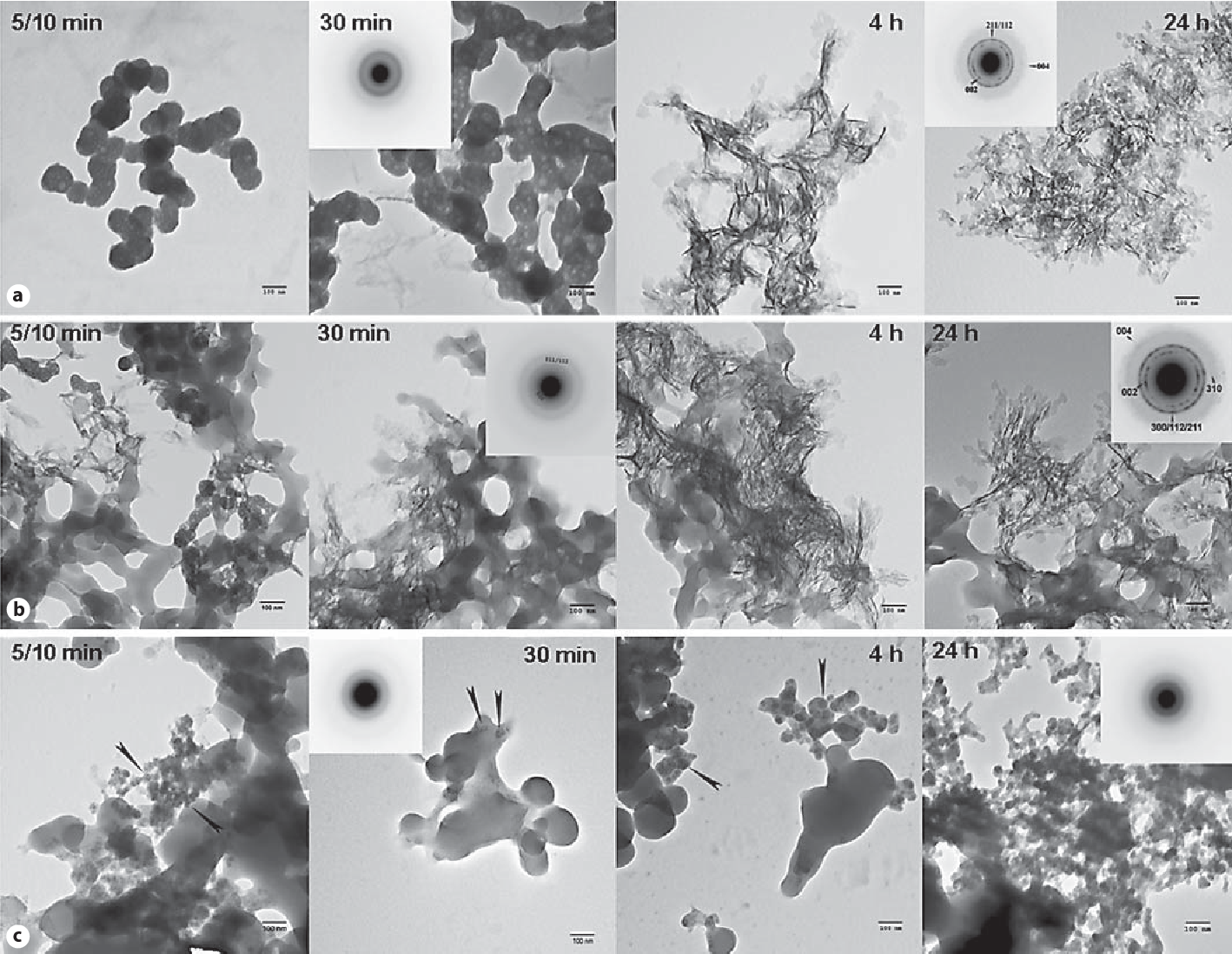 Figure 1 From Potential Role Of The Amelogenin N Terminus In The