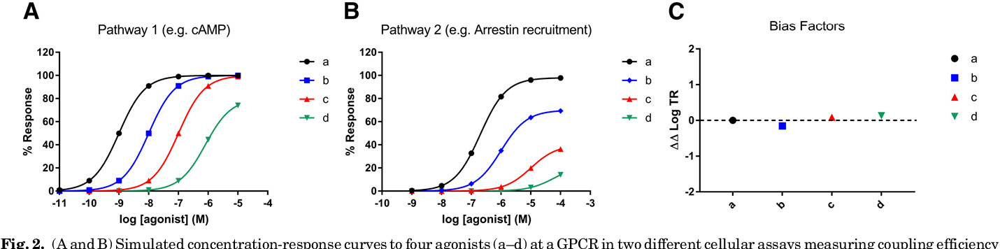 Figure 1 From A Biased View Of μ Opioid Receptors Semantic Scholar