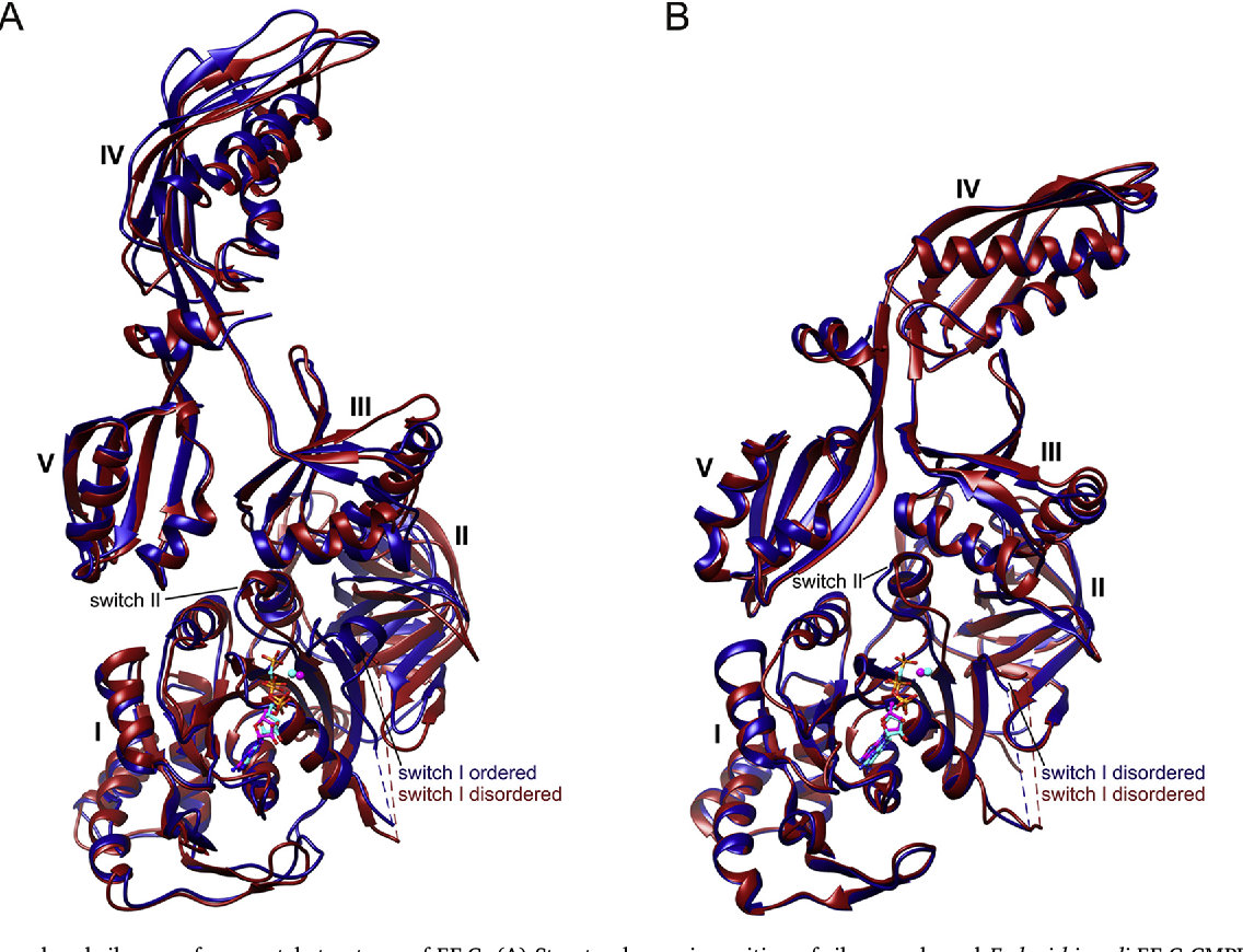 Figure 1 From Structural Basis Of Elongation Factor 2 Switching