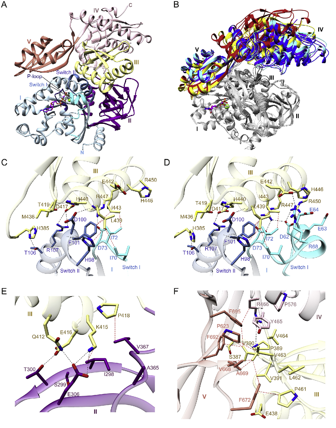 Figure 1 From Structural Basis Of Elongation Factor 2 Switching