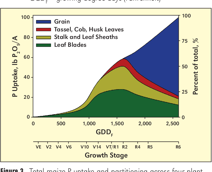 Corn Nutrient Uptake Chart