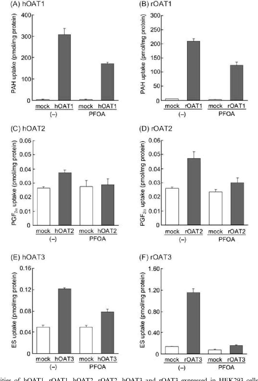 Figure 1 From Roles Of Organic Anion Transporters In The Renal