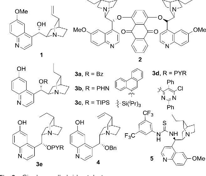 Pdf Catalytic Asymmetric Direct Aldol Reaction Of α Alkyl Azlactones