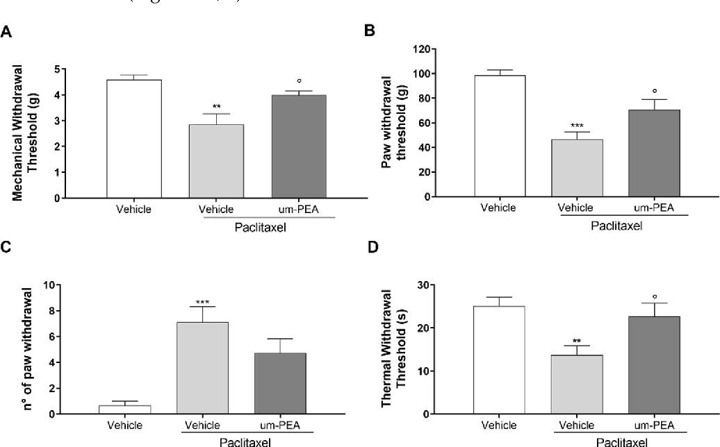 Figure 1 From The Beneficial Effects Of Ultramicronized