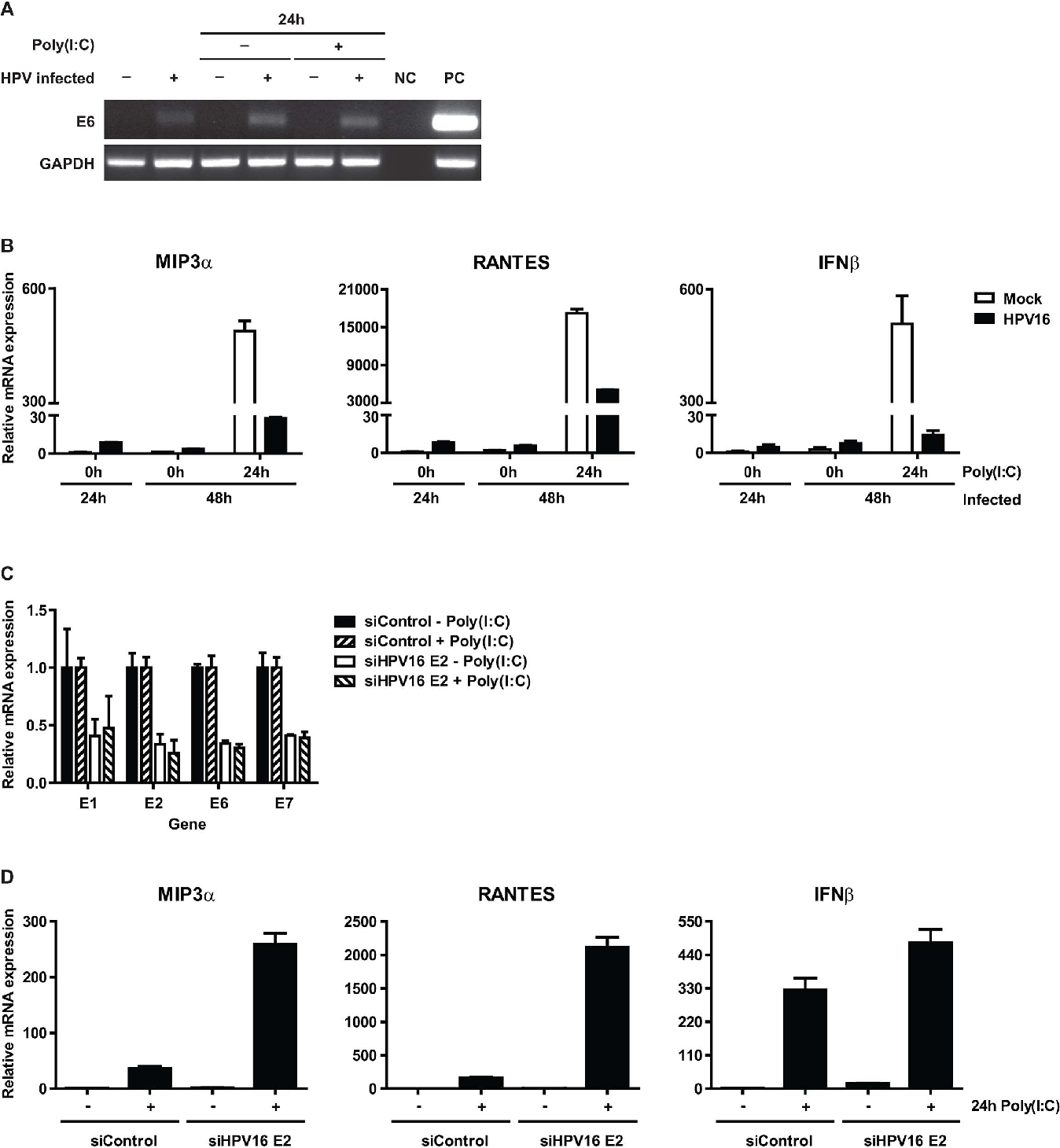 Figure 1 From Human Papillomavirus Hpv Upregulates The Cellular