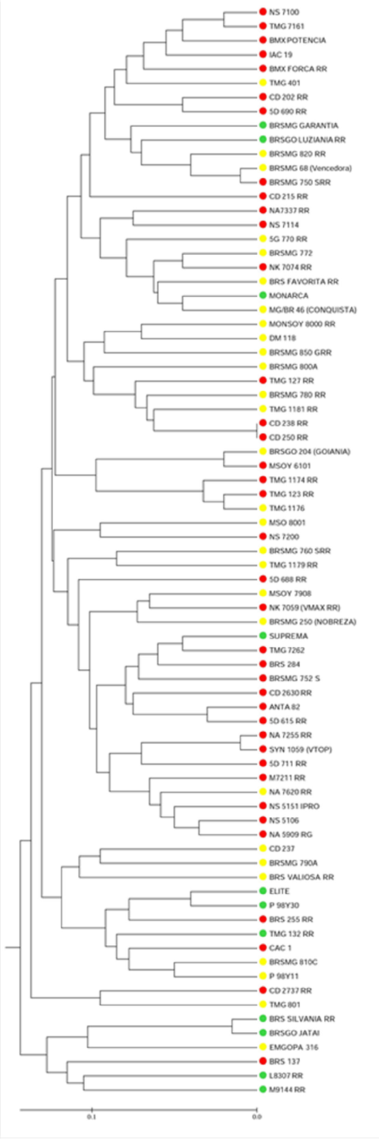 Figure 1 From Genetic Diversity In Brazilian Soybean Germplasm