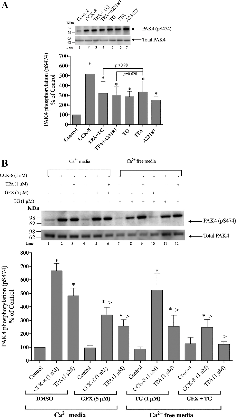 Figure 1 From Pancreatic Physiologypathophysiology P21 Activated