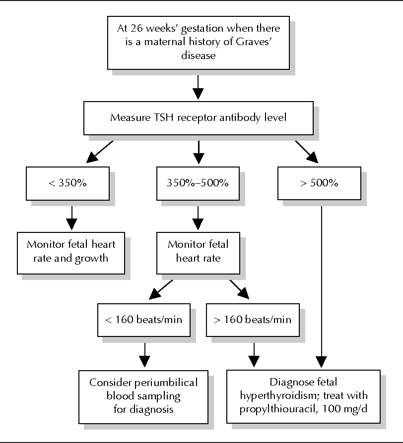 Pathophysiology Of Graves Disease