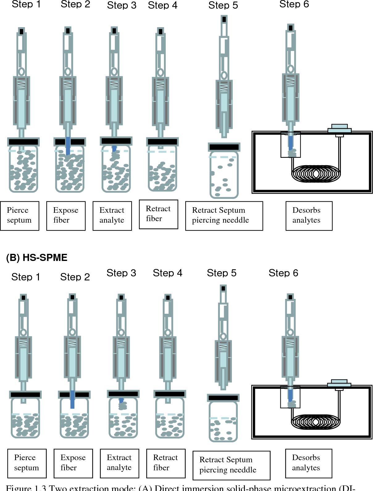 Figure 13 From Development Of A Headspace Solid Phase Microextraction