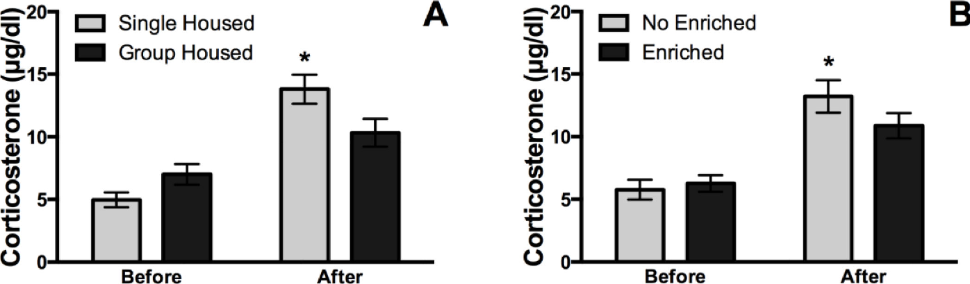 Figure 3 From Impact Of Social Isolation And Enriched Environment