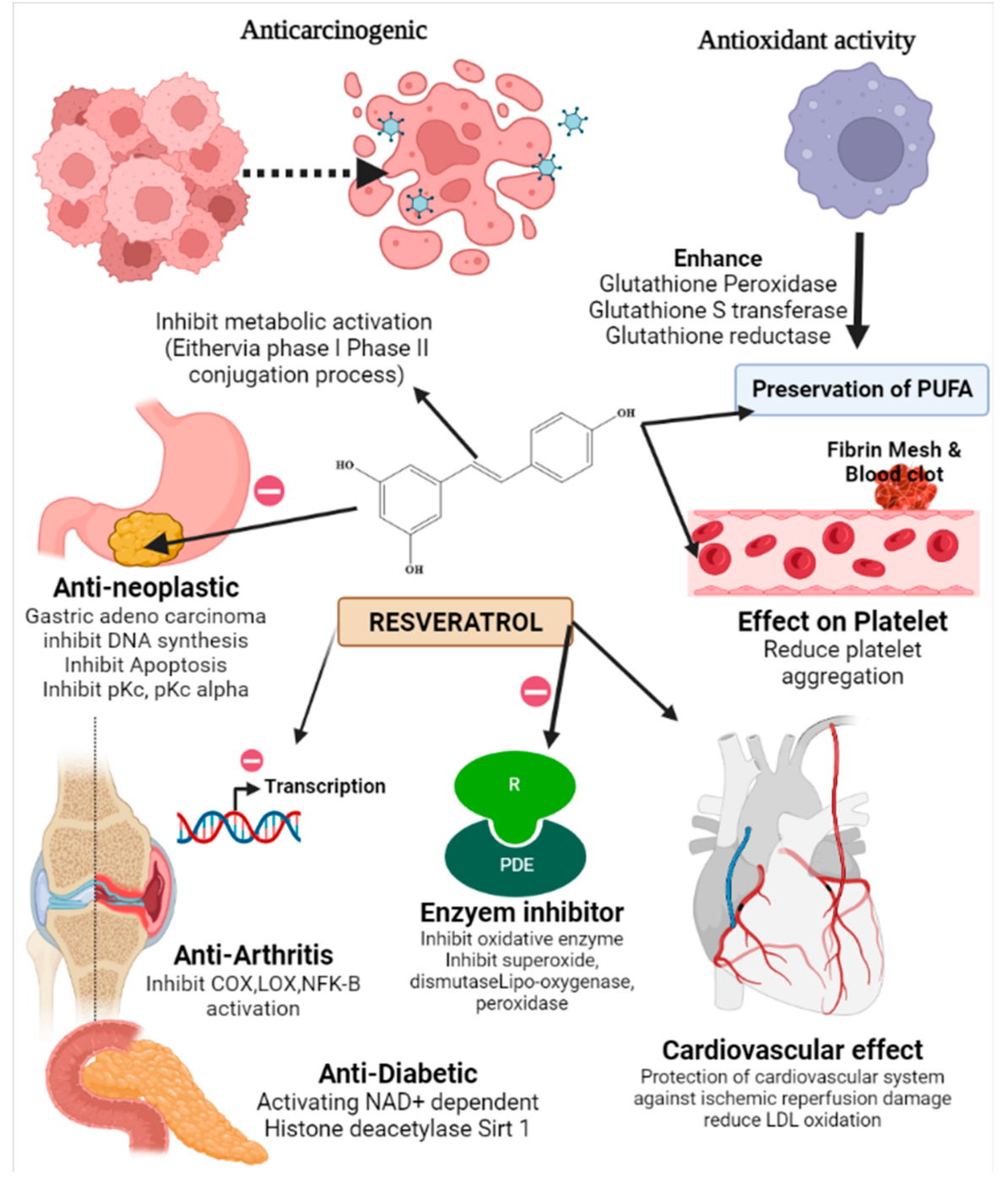 Figure 1 From Resveratrol From Dietary Supplement To A Drug Candidate