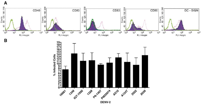 Figure 1 From Potential Of Ancestral Sylvatic Dengue 2 Viruses To Re