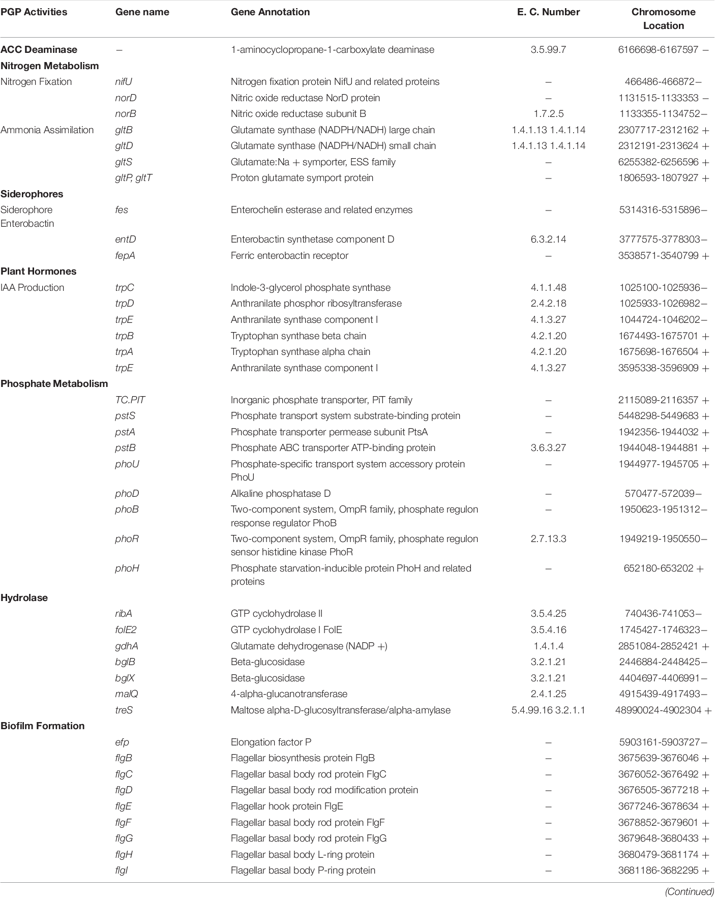 Whole Genome Analysis Of Sugarcane Root Associated Endophyte