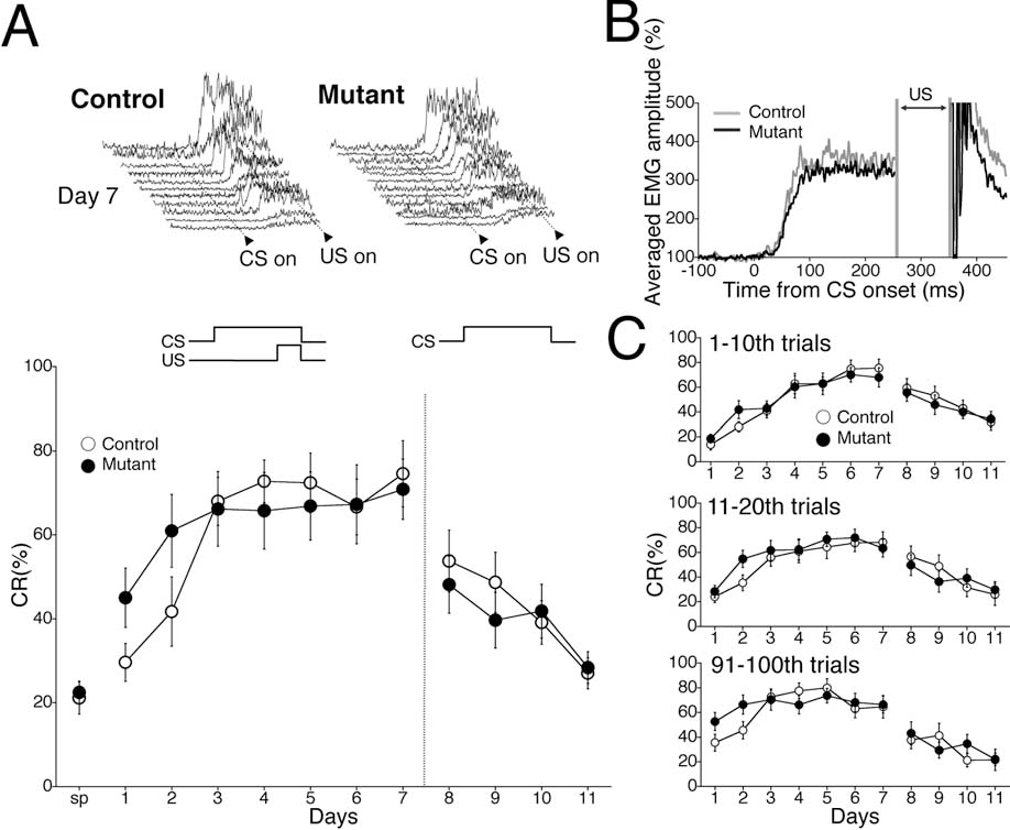 Figure 1 From Hippocampal Ca3 Nmda Receptors Are Crucial For Adaptive