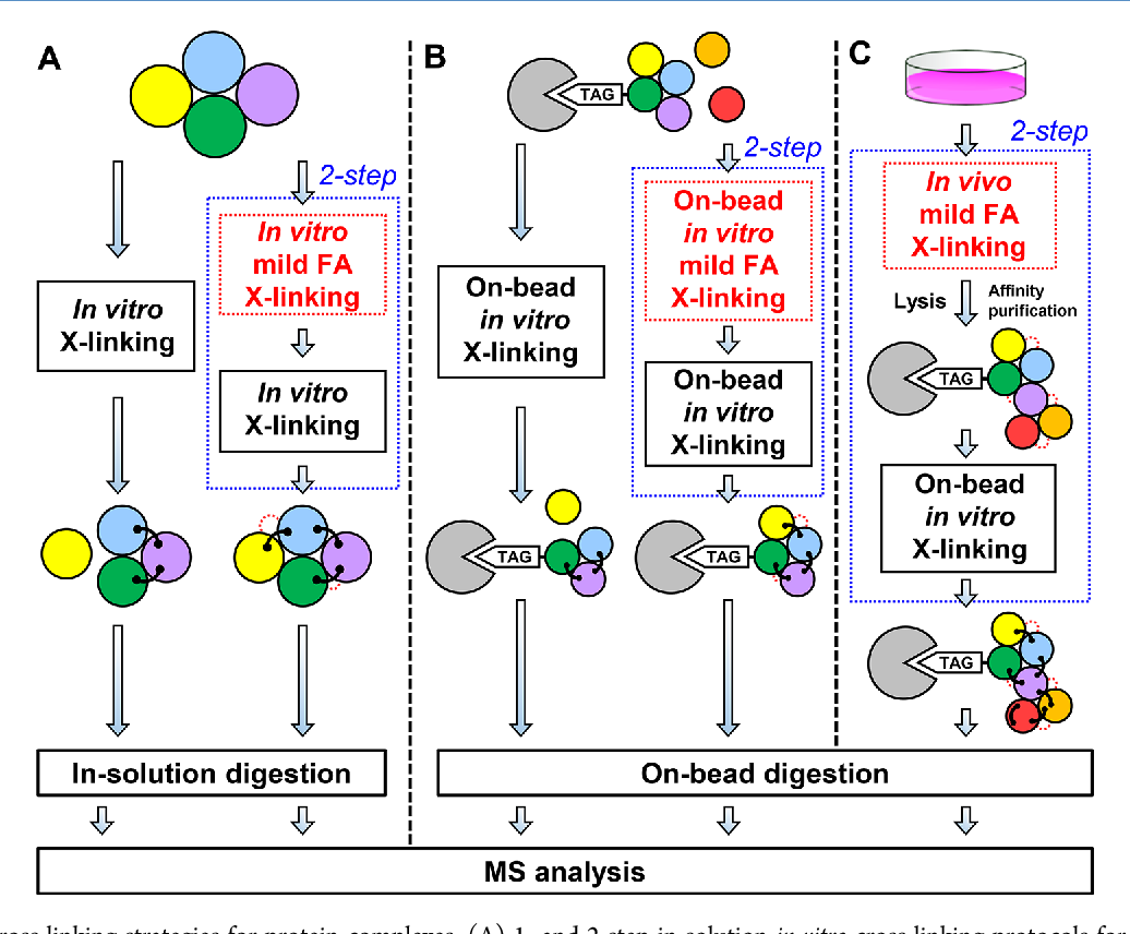 Cross Linking Mass Spectrometry An Emerging Technology For