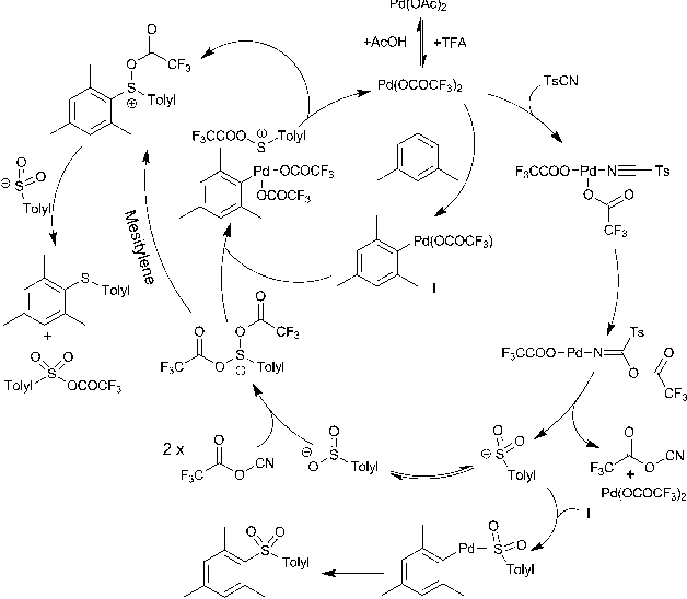 Table 1 From Novel C H Functionalization Of Arenes Palladium Catalyzed