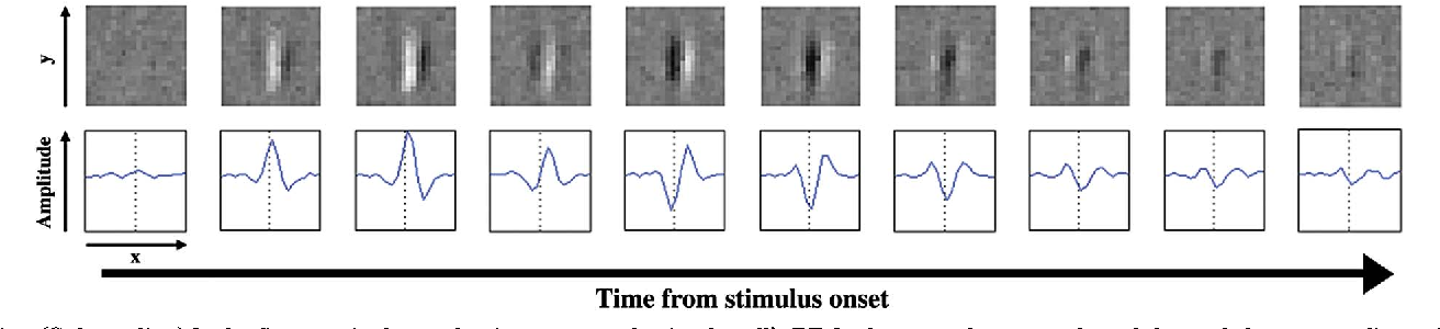 Pdf Spatiotemporal Receptive Fields Of Cells In V1 Are Optimally