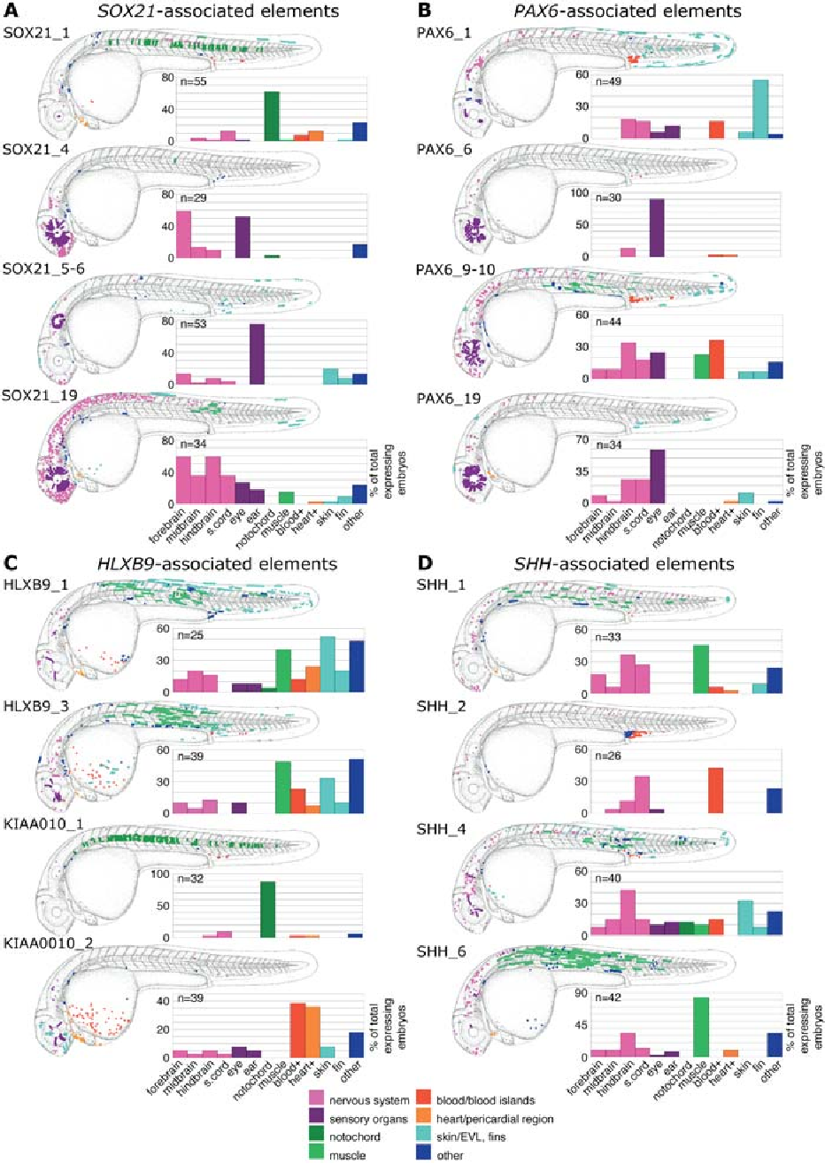 Figure 1 From Open Access Freely Available Online Plos Biology Highly